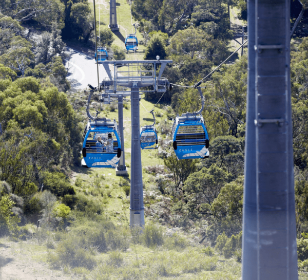 Stunning Proposal & Marriage Proposal Locations in Melbourne